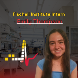 Fischell Institute Summer Research Internship Program | Fischell Institute for Biomedical Devices